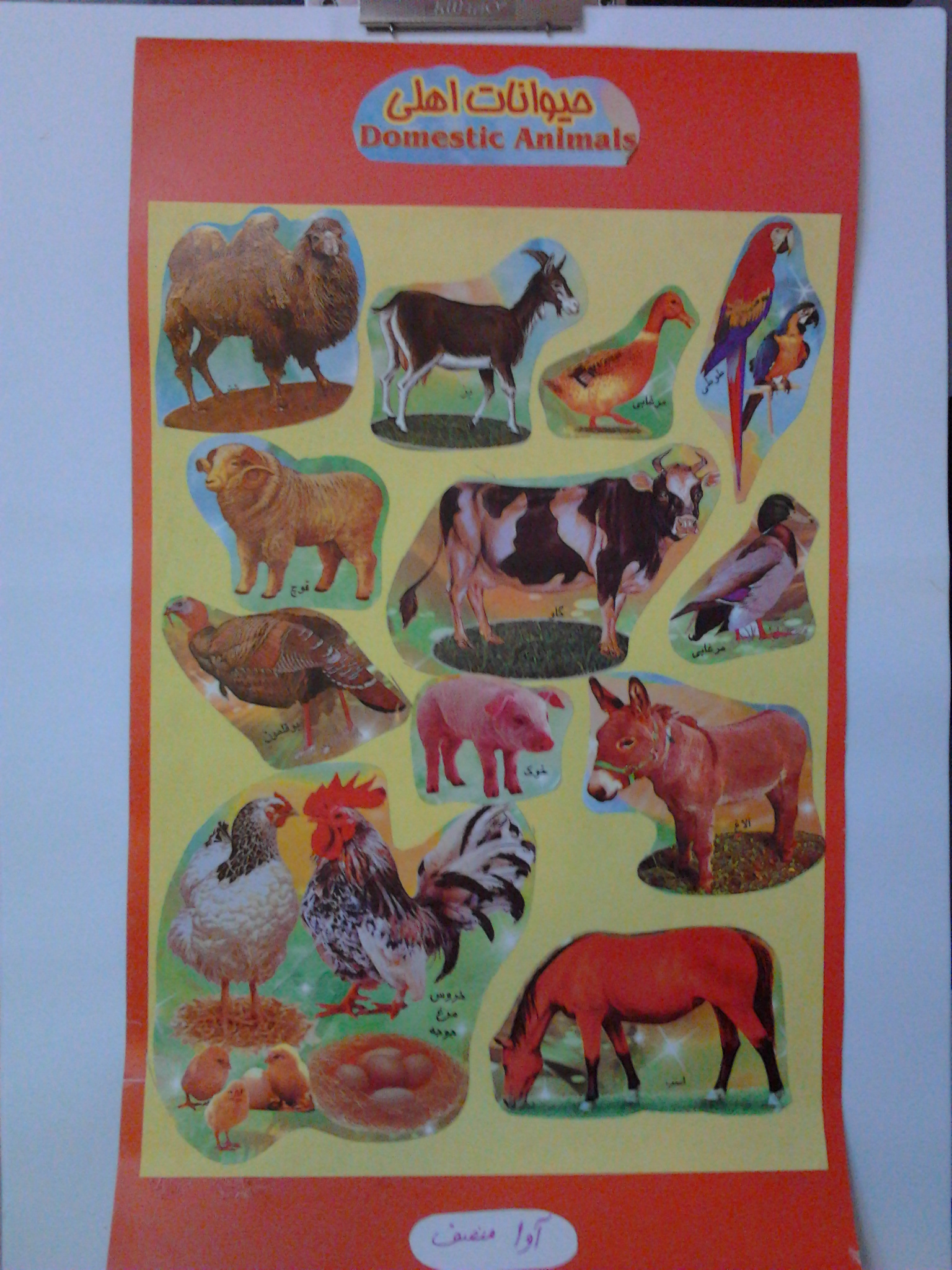 کاردستی آوا برای زنگ علوم
