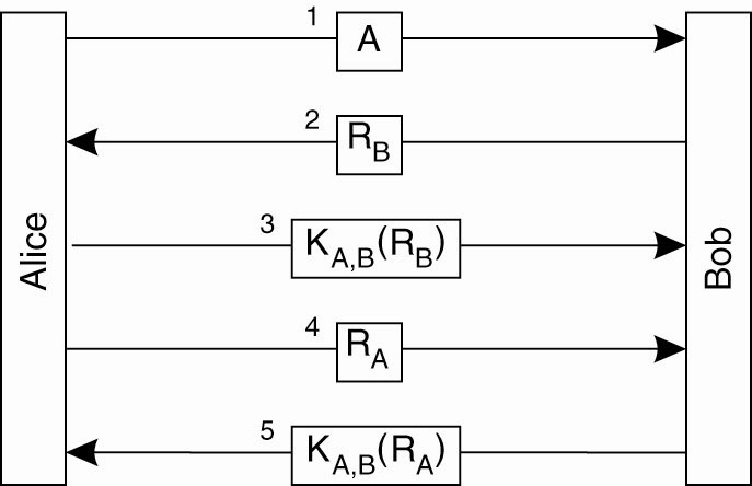 GitHub - Sha2ow-M4st3r/Black-Rose: Cross Platform Python Remote Access ...